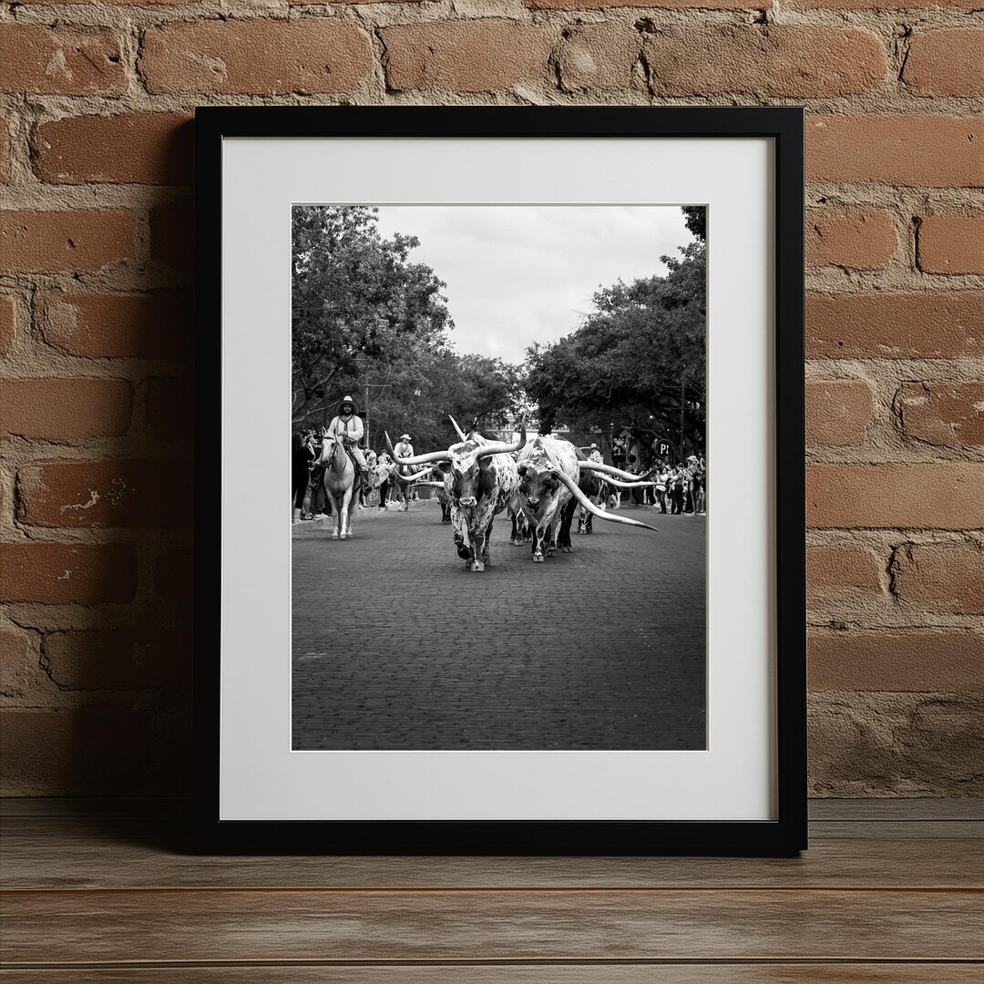 Fort Worth Stockyards Cattle Drive Photo: Texas Longhorn Art Print ...
