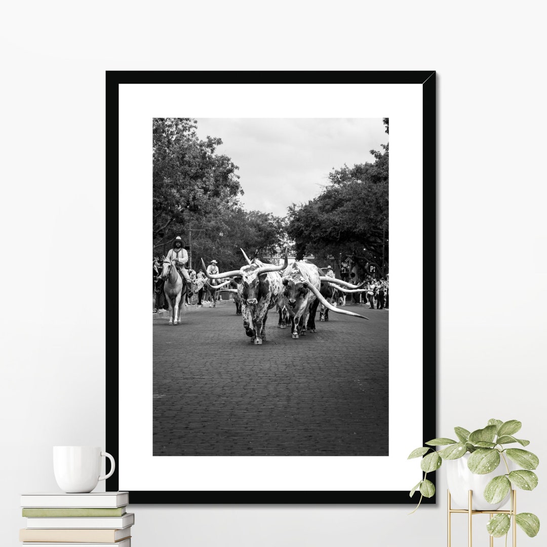 Fort Worth Stockyards Cattle Drive Photo Print | Texas Photography ...