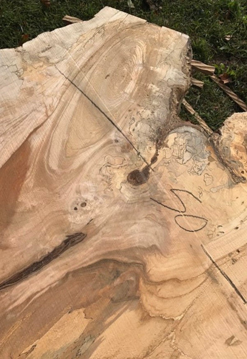 8 Foot Spalted Silver Maple Wood Slab. Live Edge Wood Slab Table. Wood ...
