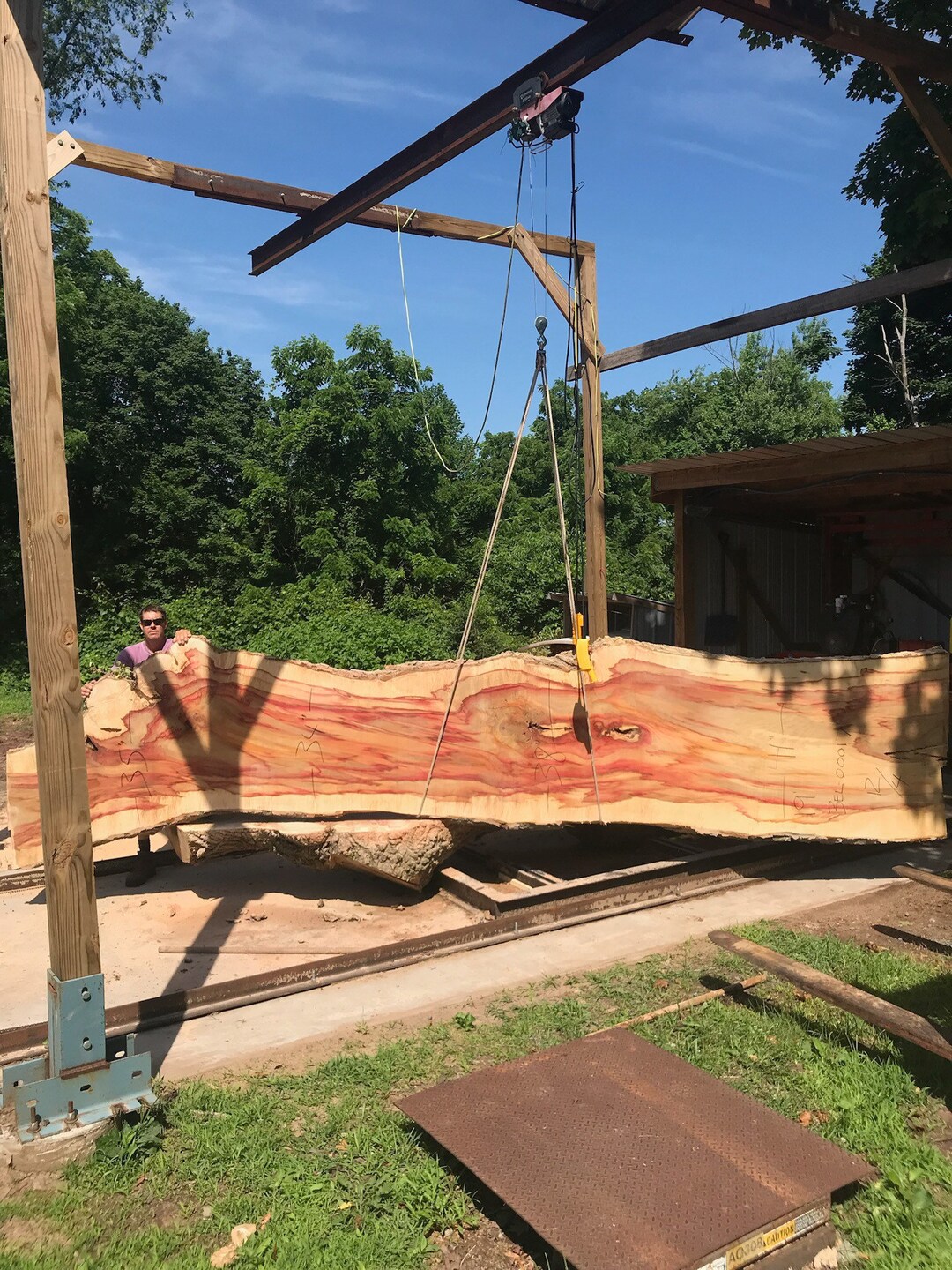 GIANT 19 Foot Wood Slab Kiln Dried - Etsy
