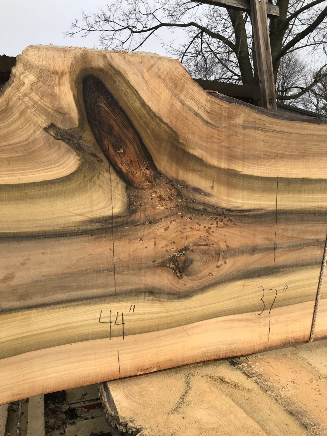 Tulip Poplar | Live Edge Wood | Reclaimed Wood Slabs | Kiln Dried Wood ...