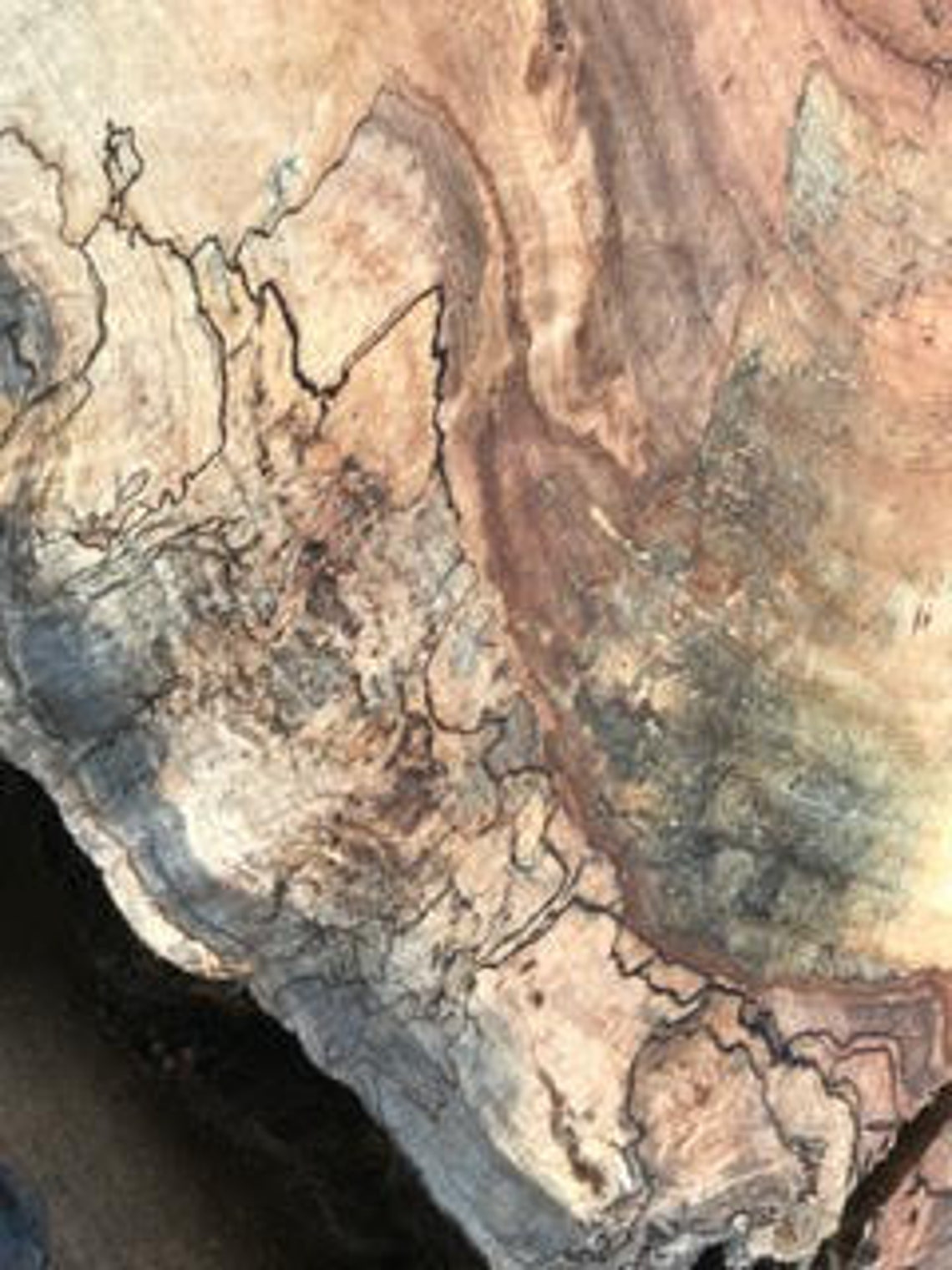Silver Maple Live Edge Wood Slab. Spalted Maple Wood Slab for Sale ...