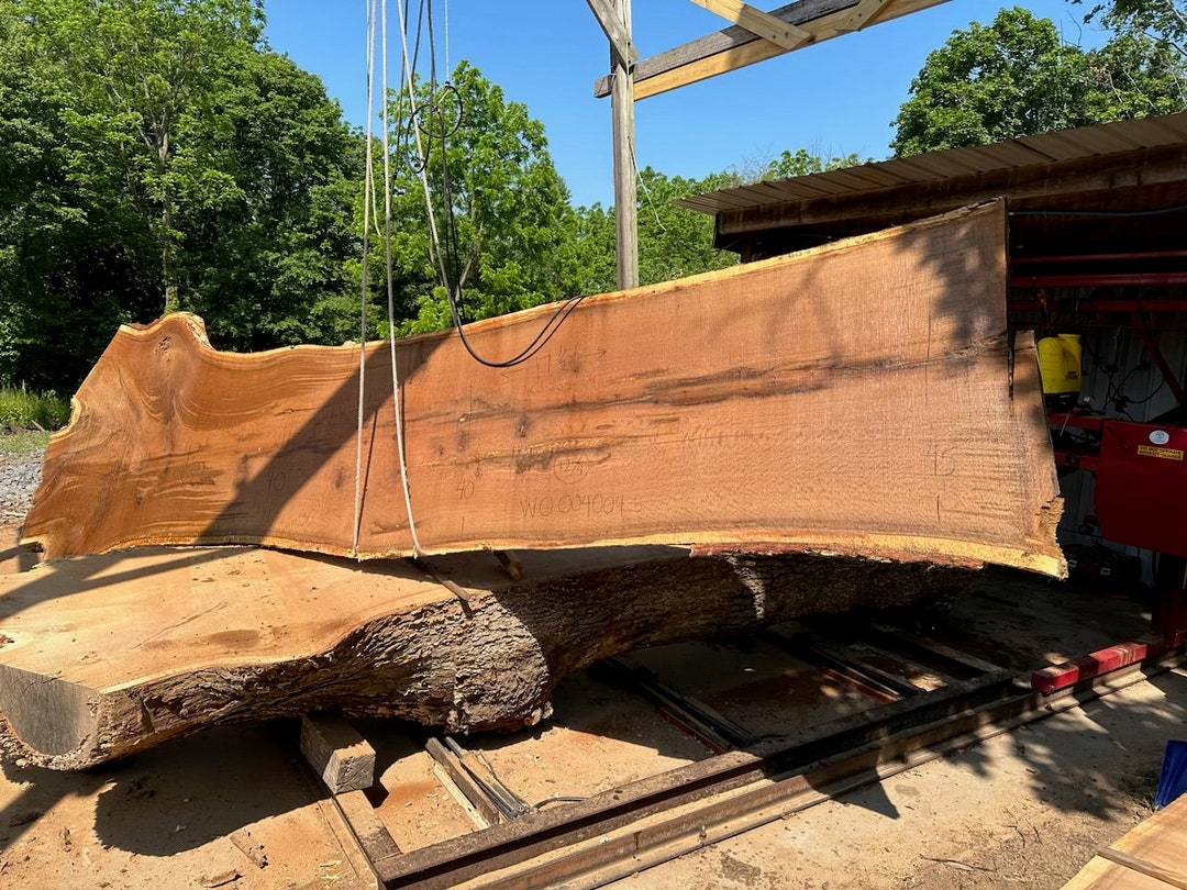 GIANT White Oak Wood Slabs - Etsy