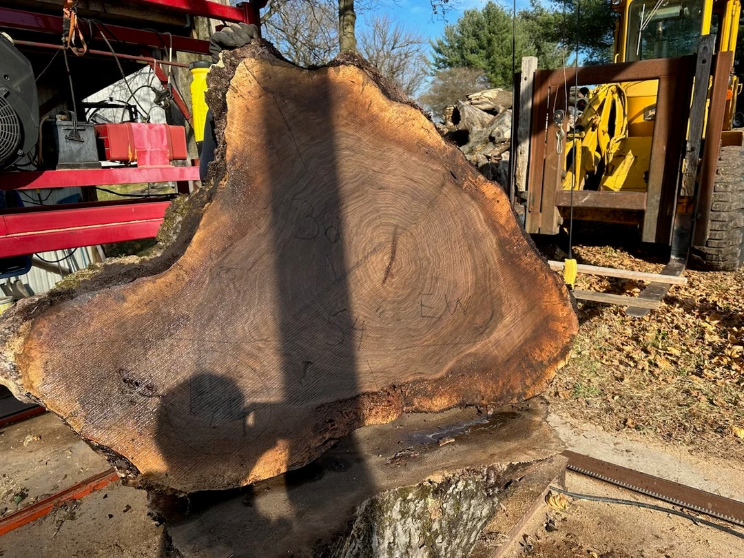 Large Black Walnut Wood Round - Etsy