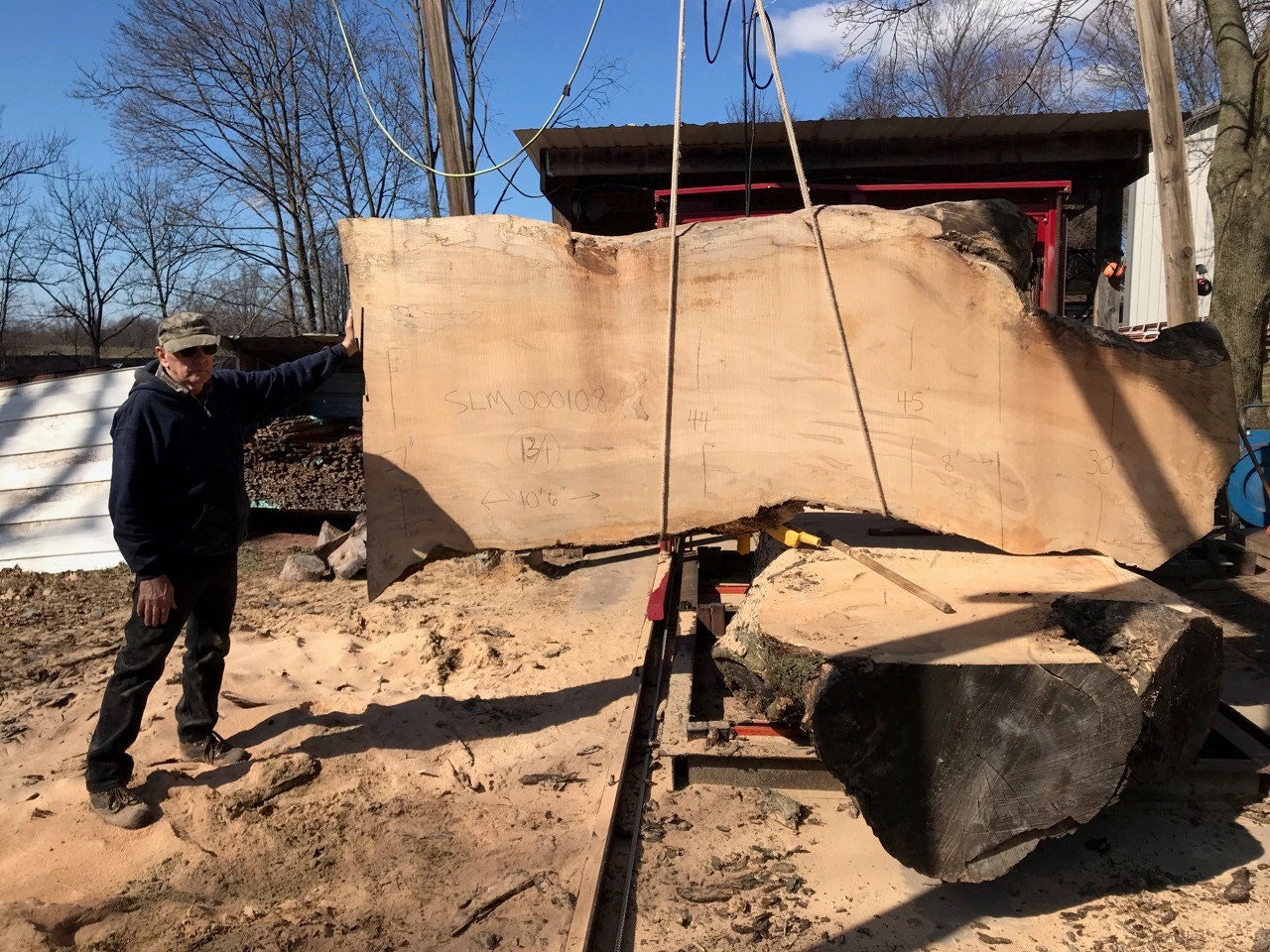 Silver Maple | Live Edge Wood | Reclaimed Wood Slabs | Kiln Dried Wood ...