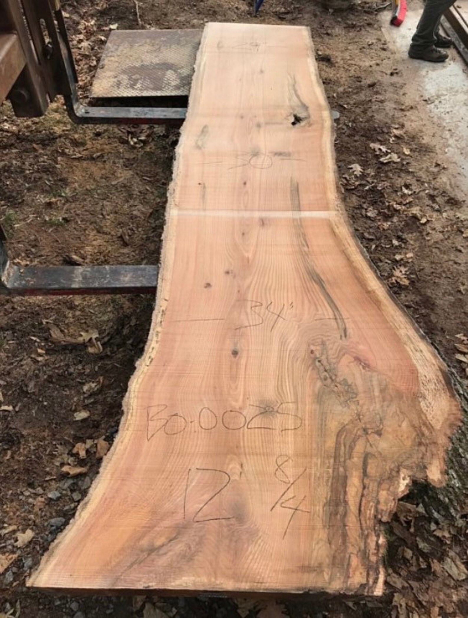 12 Foot Live Edge Oak. Black Oak Wood Bar Top - Etsy