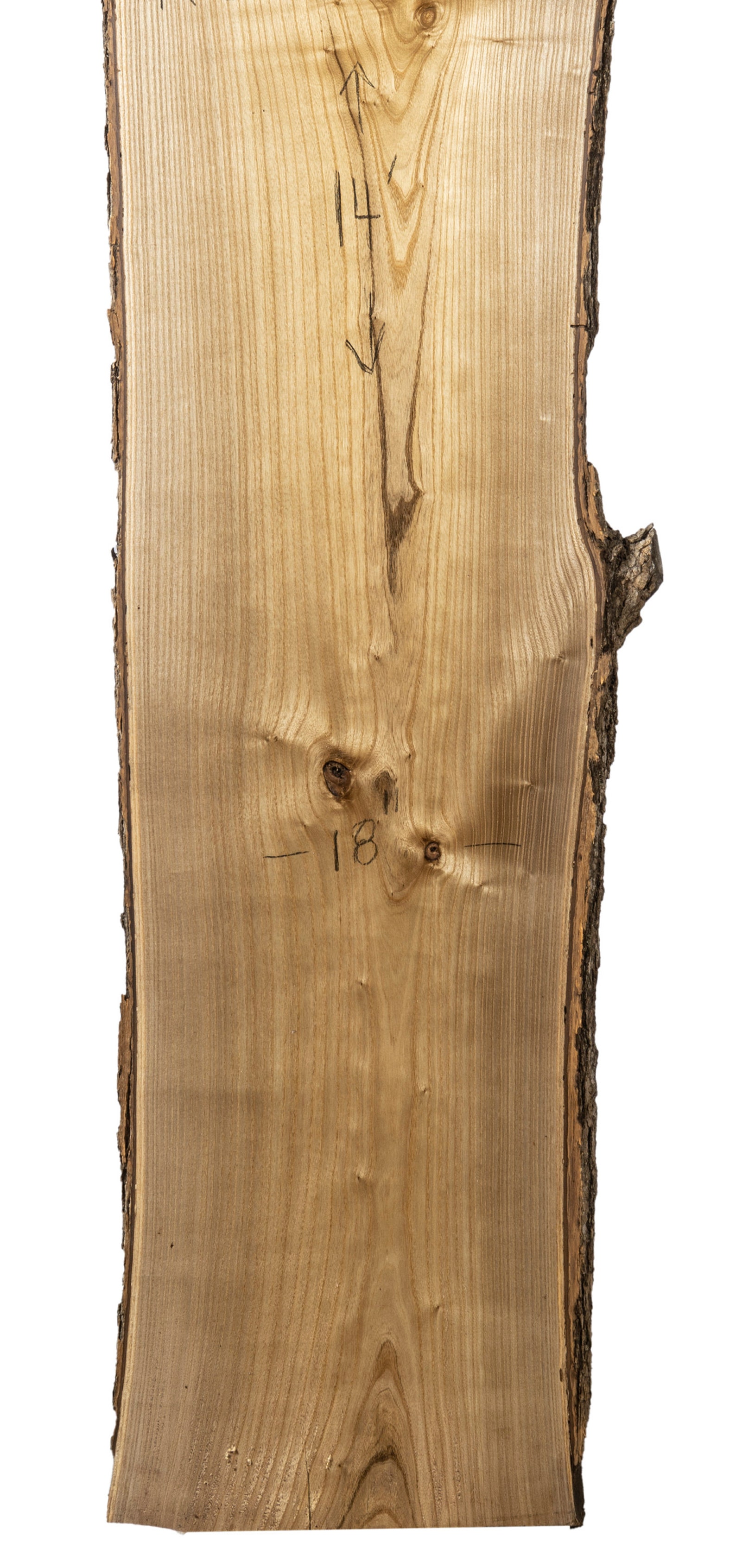 14 Foot Long Wood Slab for Sale. 14 Foot Long Kentucky Coffee Tree. 14 ...