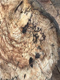 Silver Maple Live Edge Wood Slab. Spalted Maple Wood Slab for Sale ...