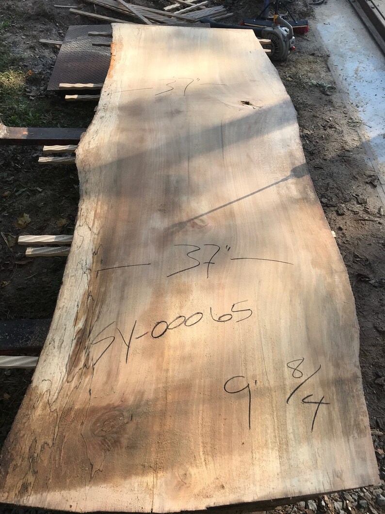 Spalted Sycamore dining table wood slab. Sycamore table. | Etsy