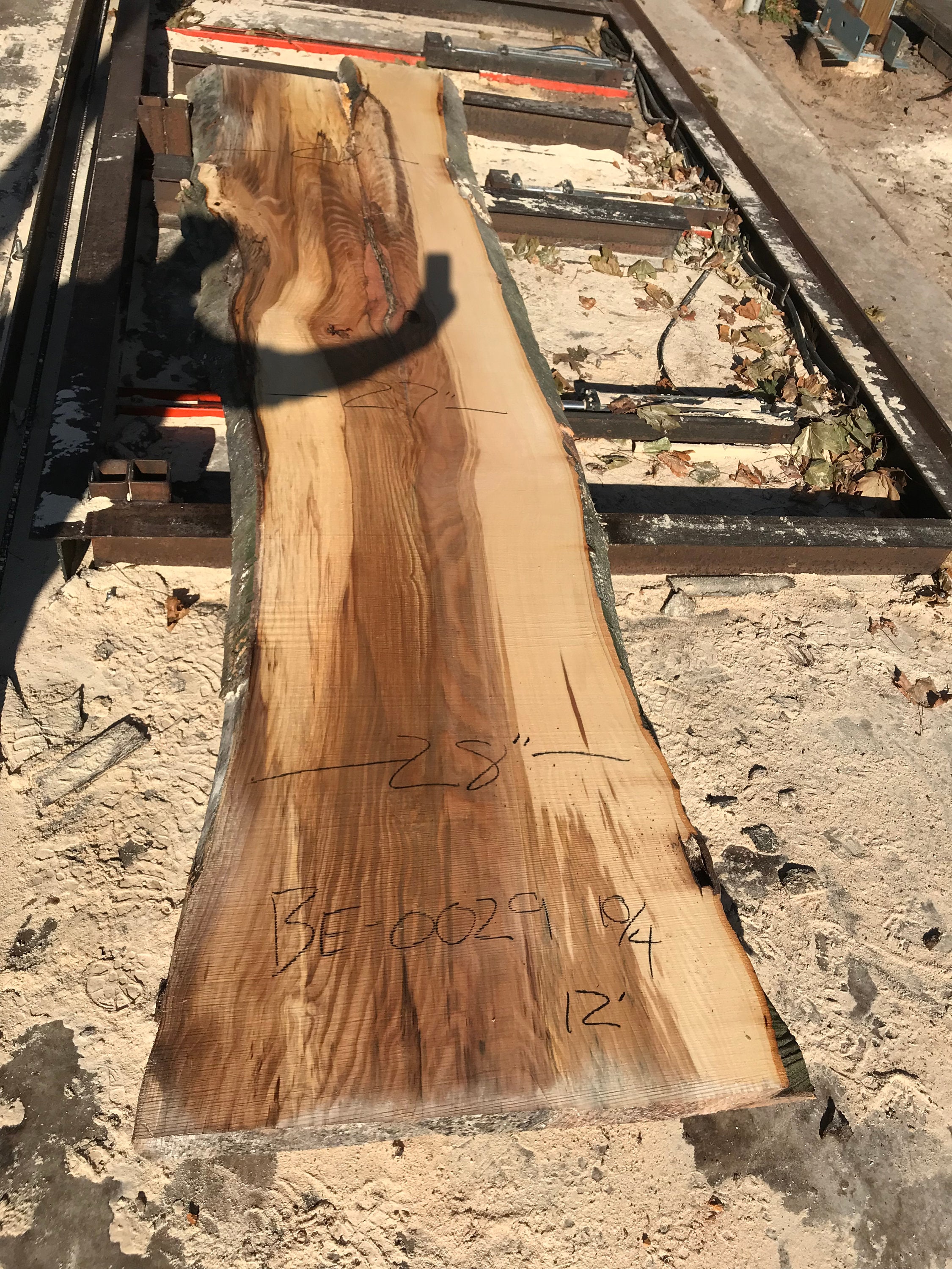 12 Foot Beech Bar Top. 12 Foot Beech Wood Slab - Etsy