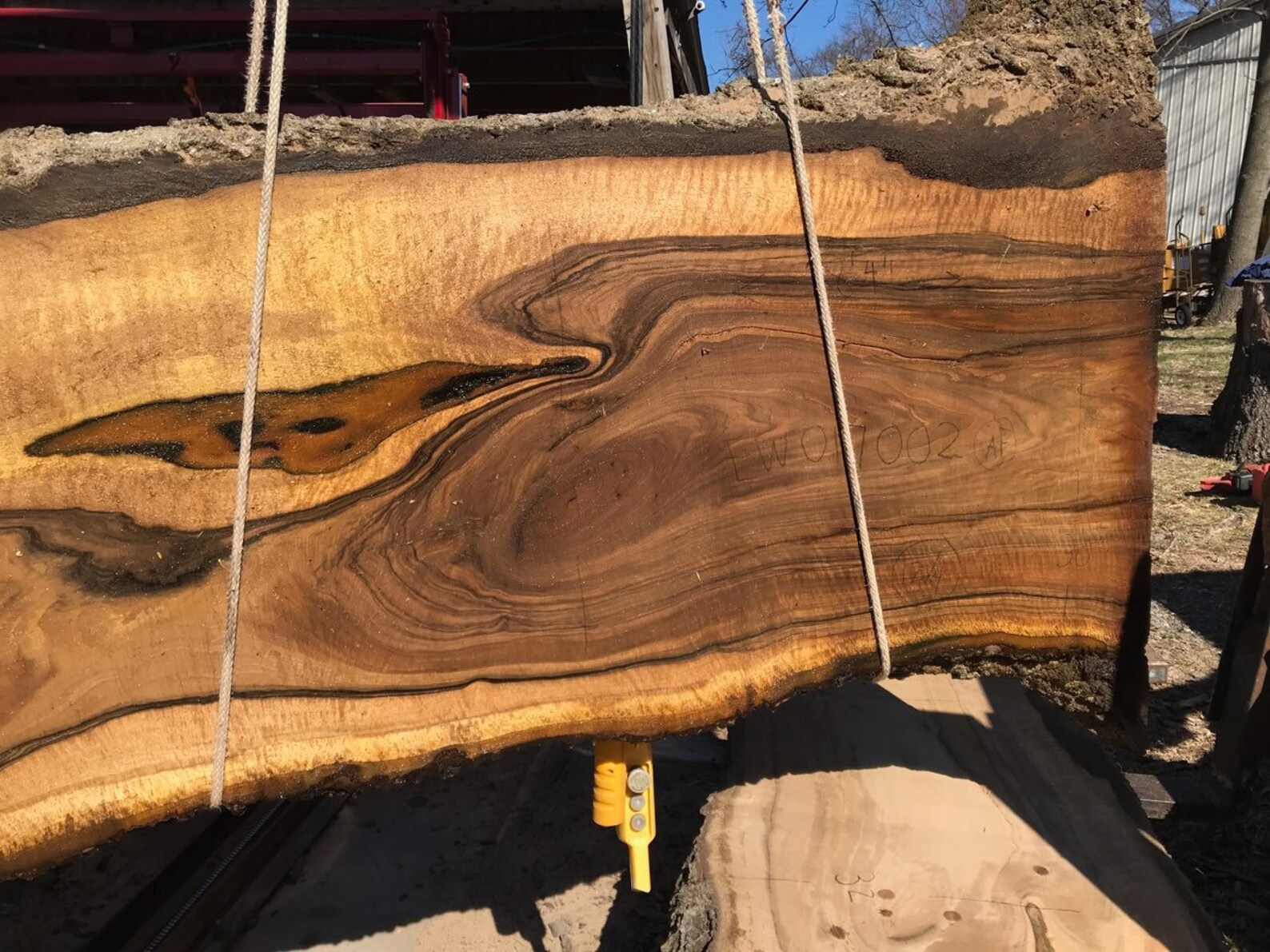 Walnut | Live Edge Wood | Reclaimed Wood Slabs | Kiln Dried Wood for ...