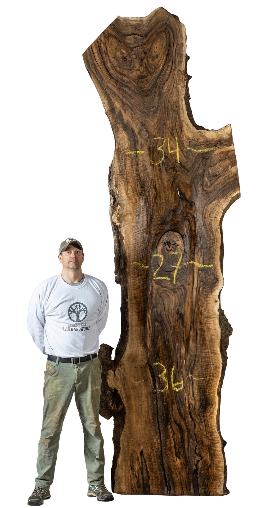 English Walnut Tree Slice. 12 Foot Walnut Bar Top Slab. 12 Foot Curly ...