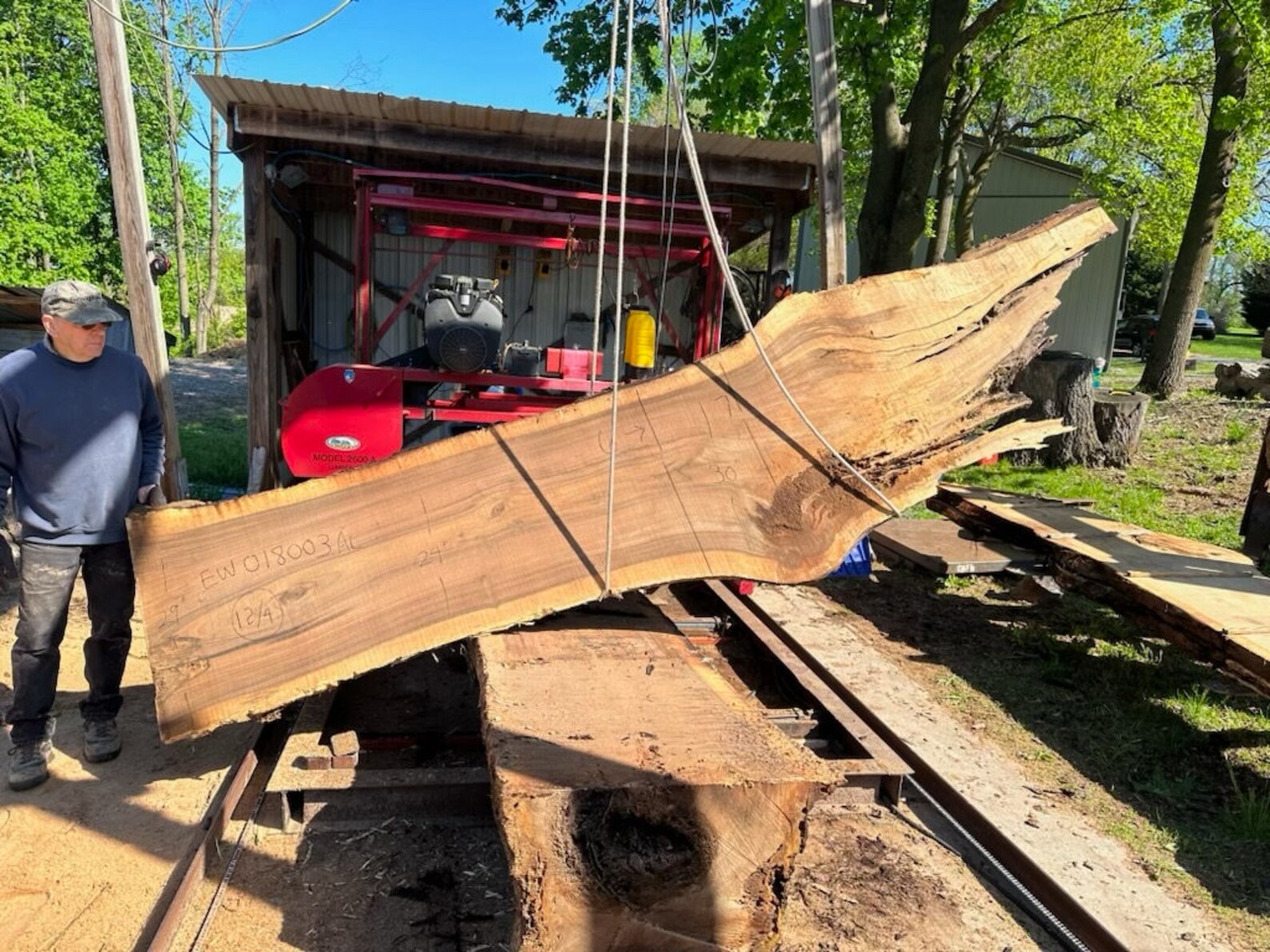 English Walnut Live Edge Wood Slabs - Etsy