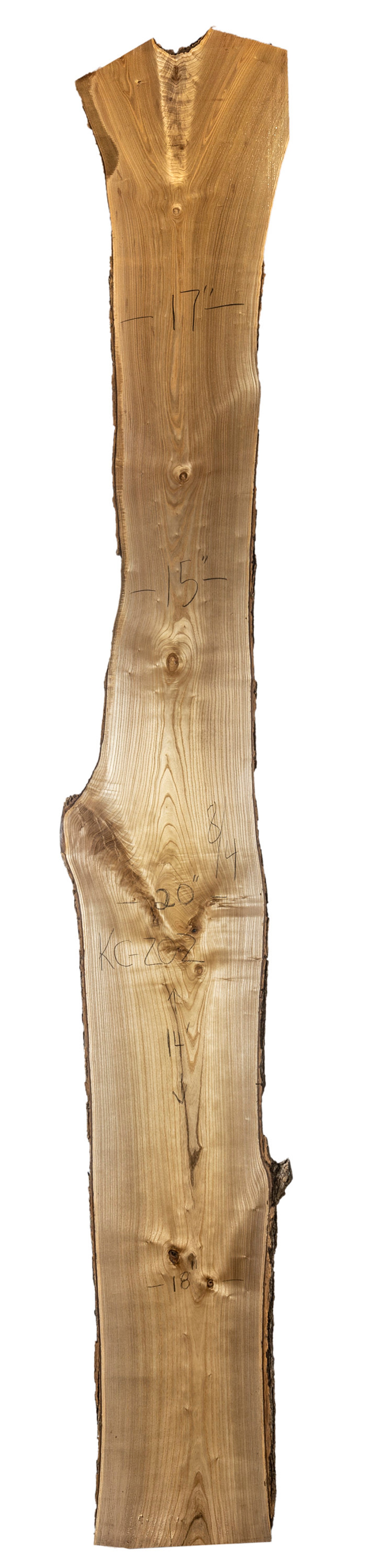 14 Foot Long Wood Slab for Sale. 14 Foot Long Kentucky Coffee Tree. 14 ...