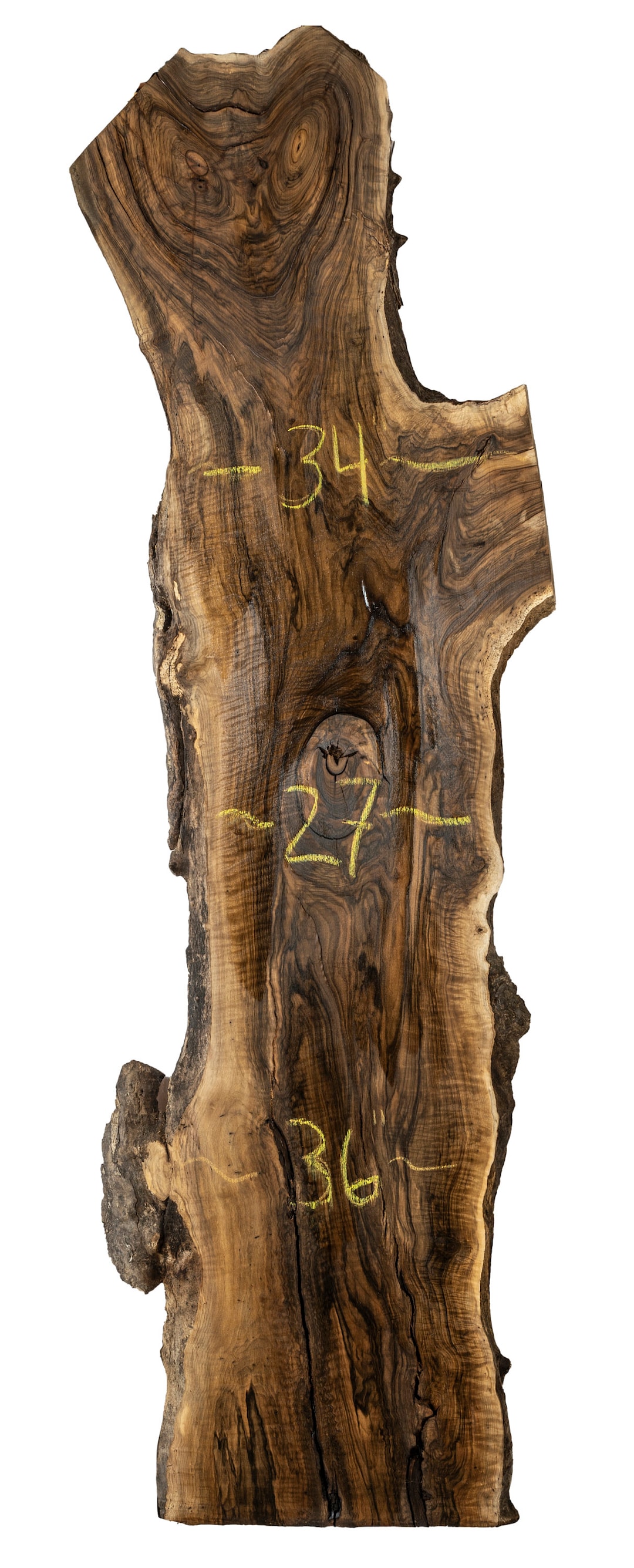English Walnut Tree Slice. 12 Foot Walnut Bar Top Slab. 12 Foot Curly ...