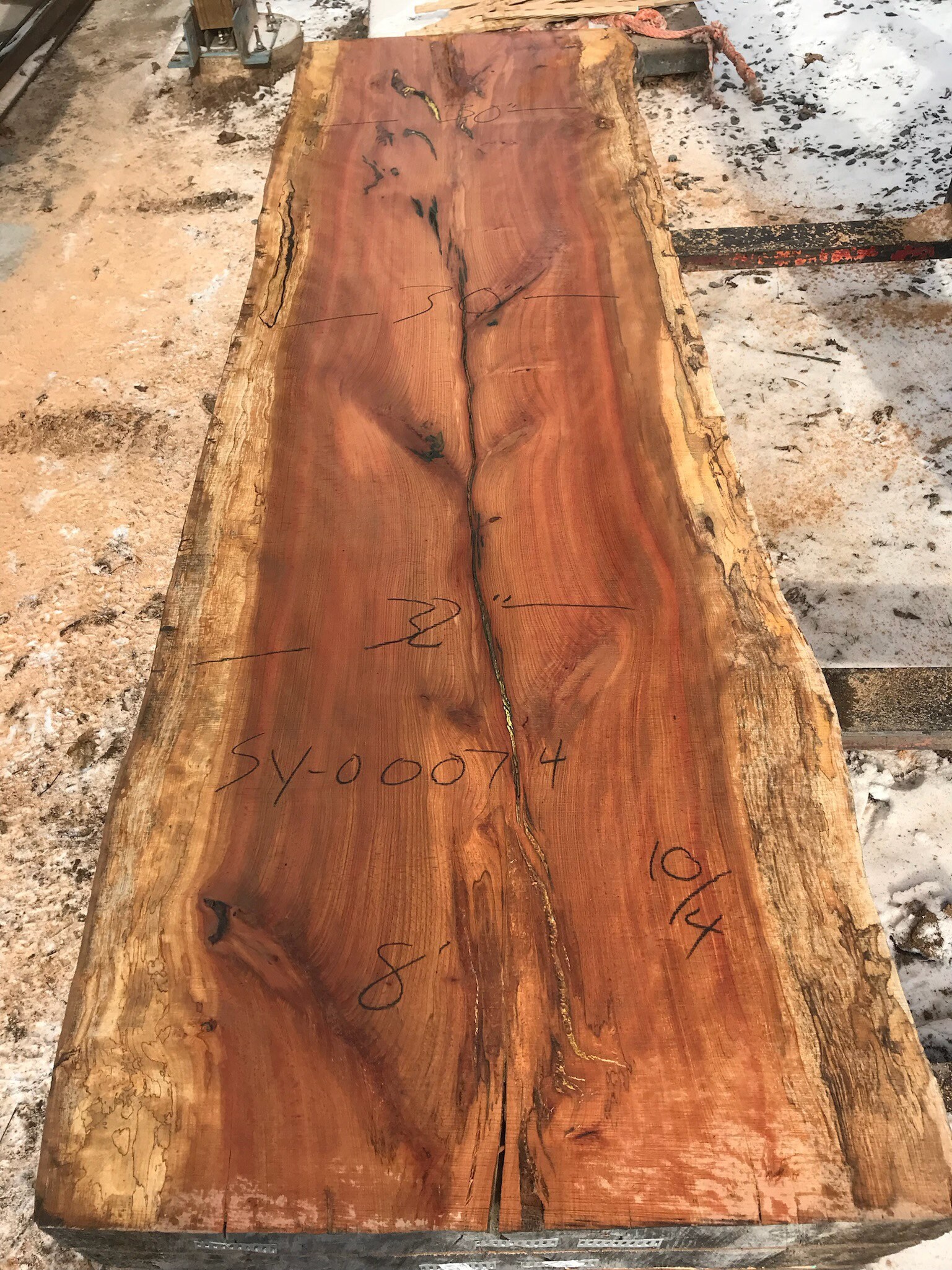 Large Sycamore Wood for Sale - Etsy