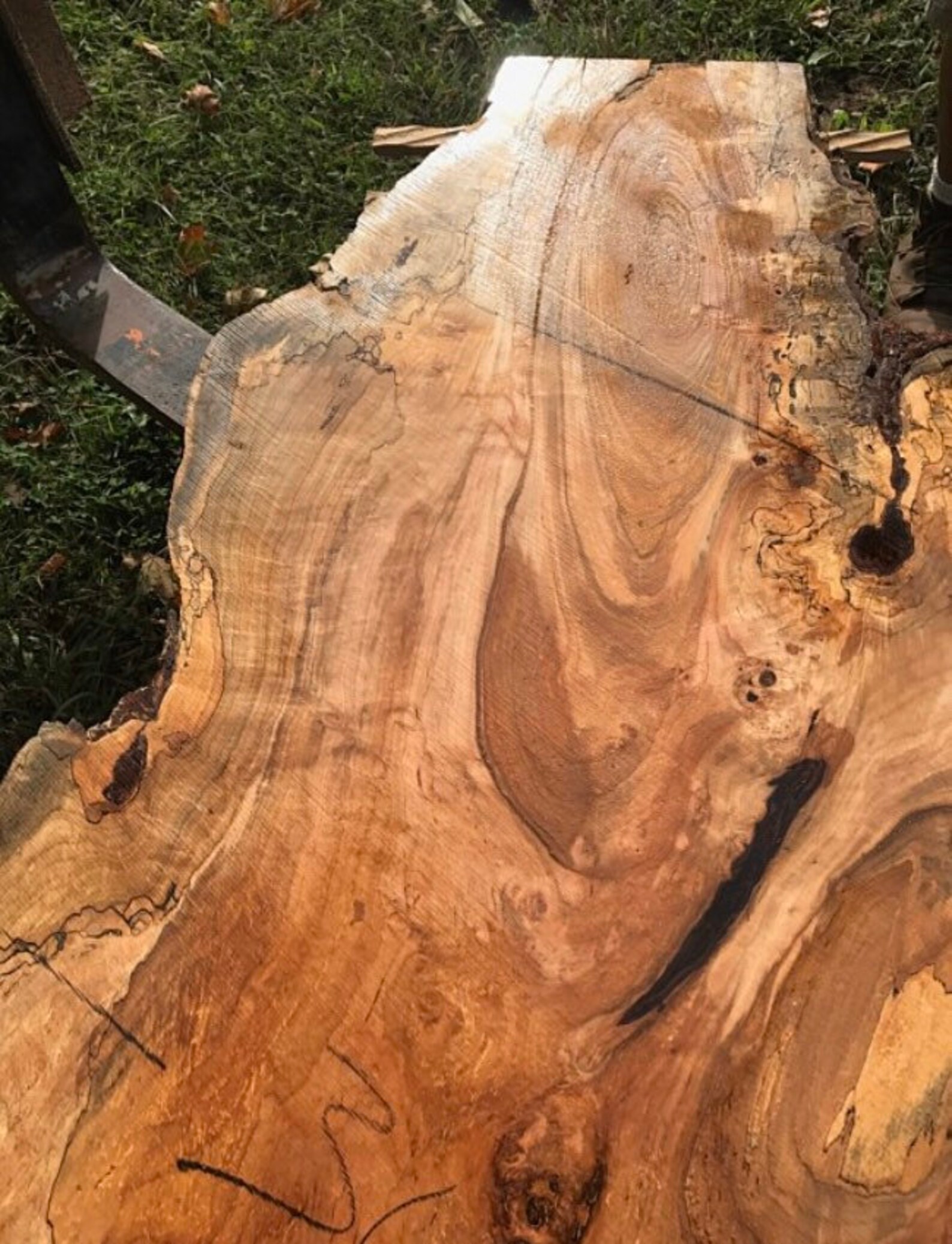 8 Foot Spalted Silver Maple Wood Slab. Live Edge Wood Slab Table. Wood ...