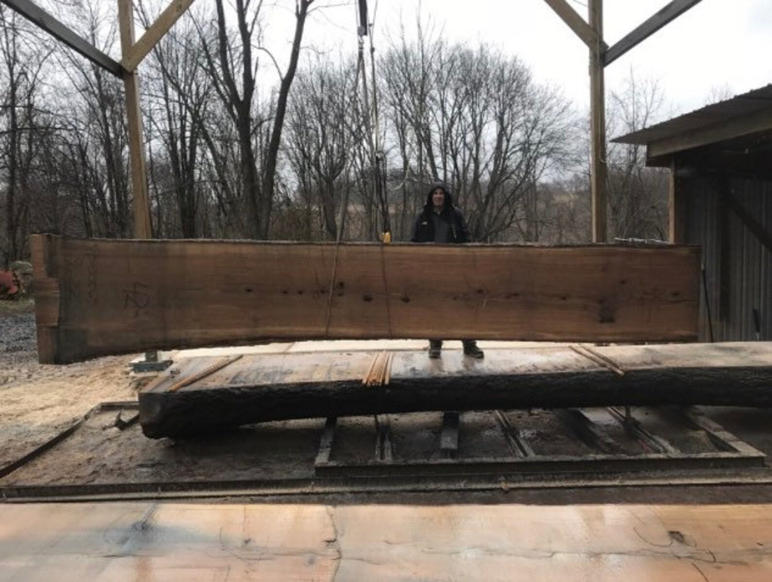 22 Foot Long Oak Wood Slabs or Log for Sale. 22 Foot Oak Bar Top. 22 ...