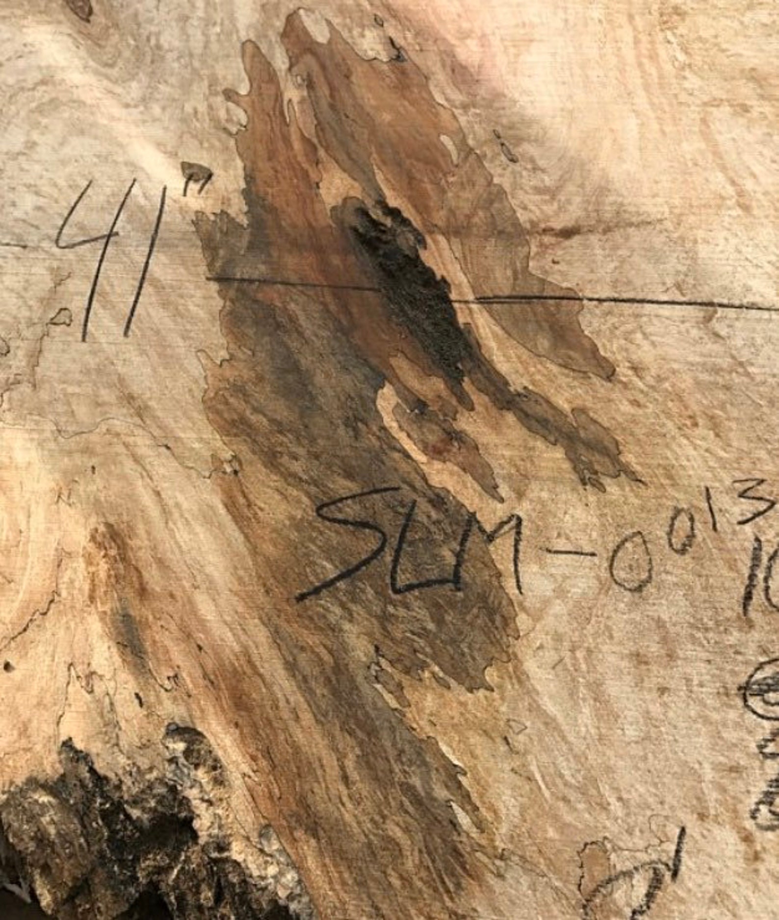 8 Foot Spalted Silver Maple Wood Slab. Live Edge Wood Slab Table. Wood ...