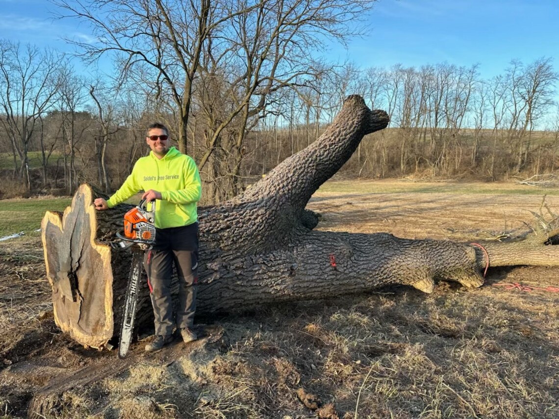 Giant Hardwood Slabs for Sale - Etsy