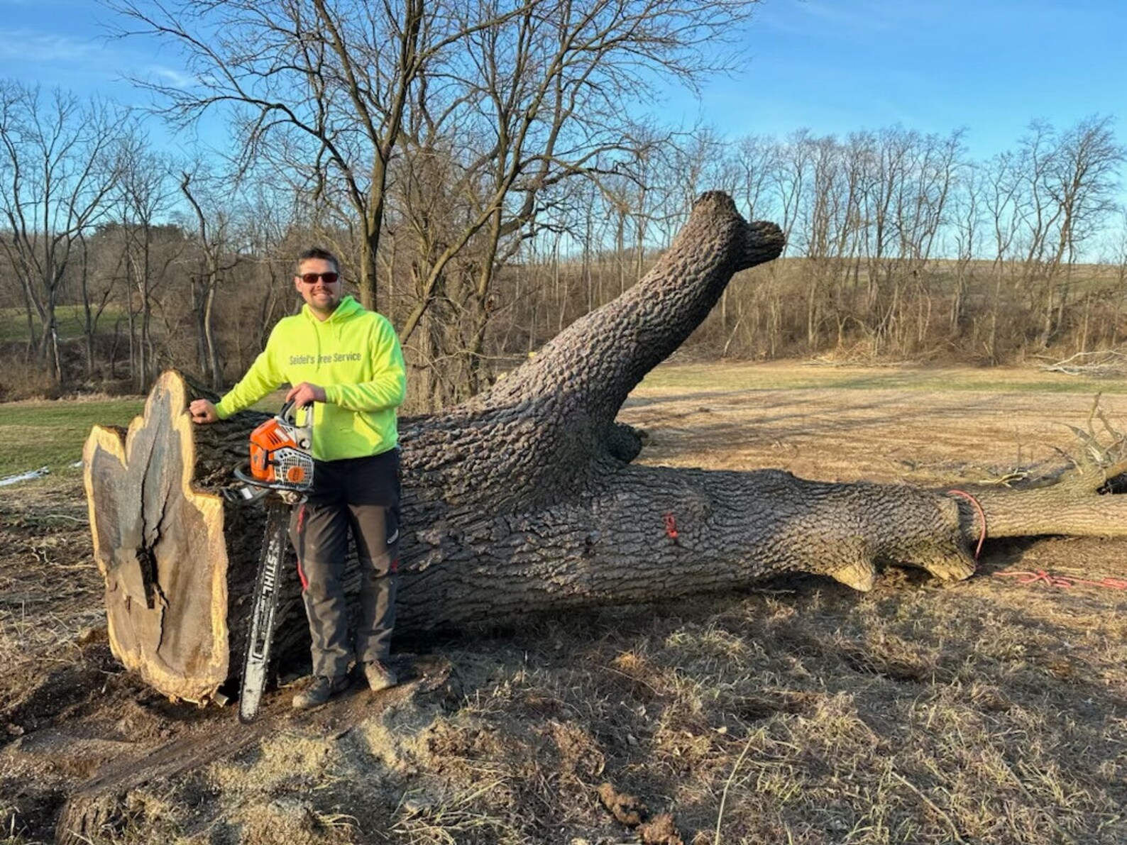Giant Hardwood Slabs for Sale - Etsy