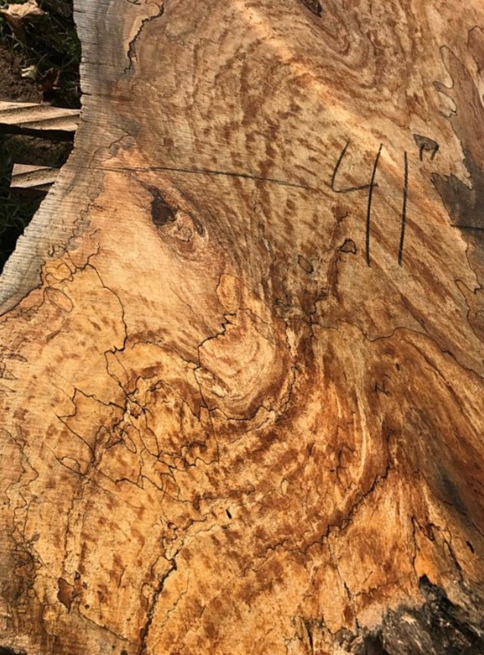 8 Foot Spalted Silver Maple Wood Slab. Live Edge Wood Slab Table. Wood ...