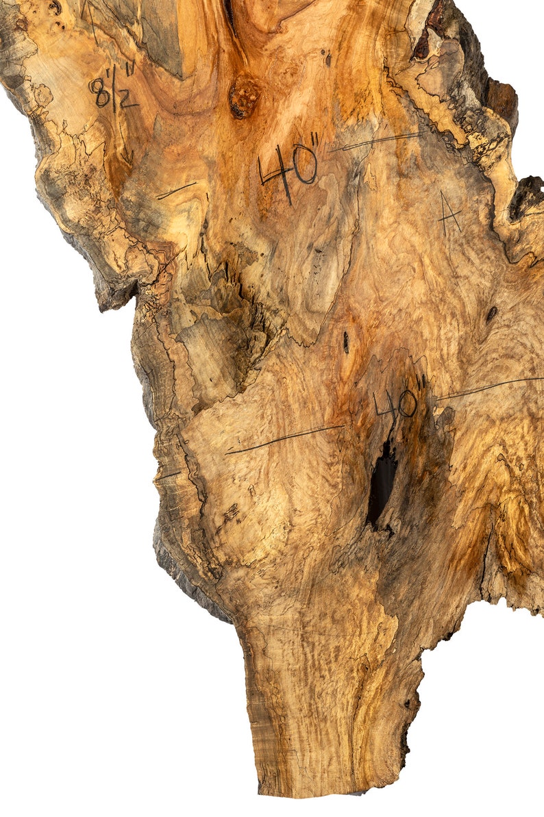 Live Edge Maple Wood Slab. Spalted Maple Wood Slab. Eight Foot Maple ...