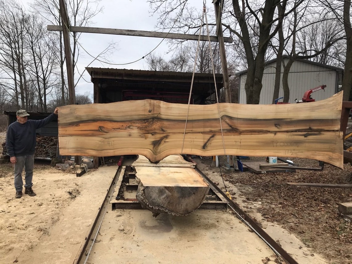 Tulip Poplar | Live Edge Wood | Reclaimed Wood Slabs | Kiln Dried Wood ...