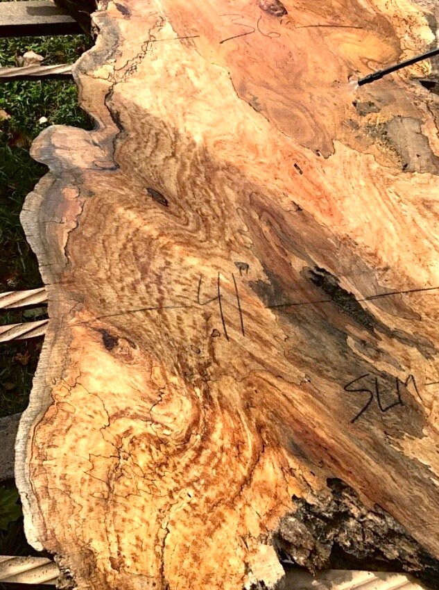Spalted Maple Live Edge Wood Slab. Spalted Wood Slab Table. Wormy ...