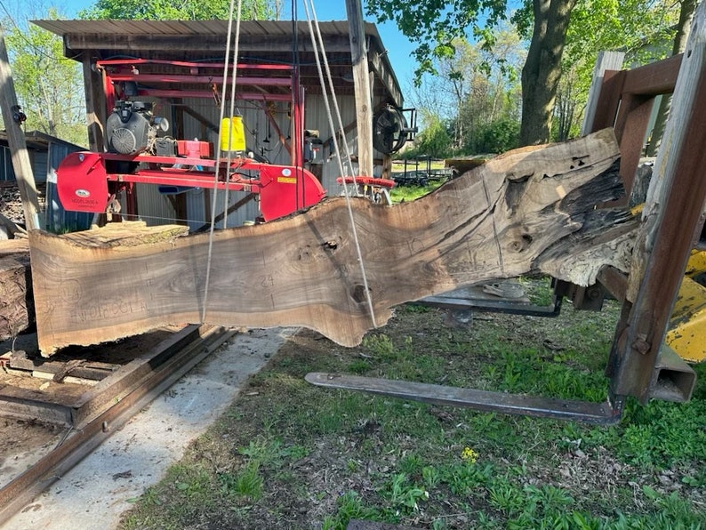 English Walnut Live Edge Wood Slabs - Etsy