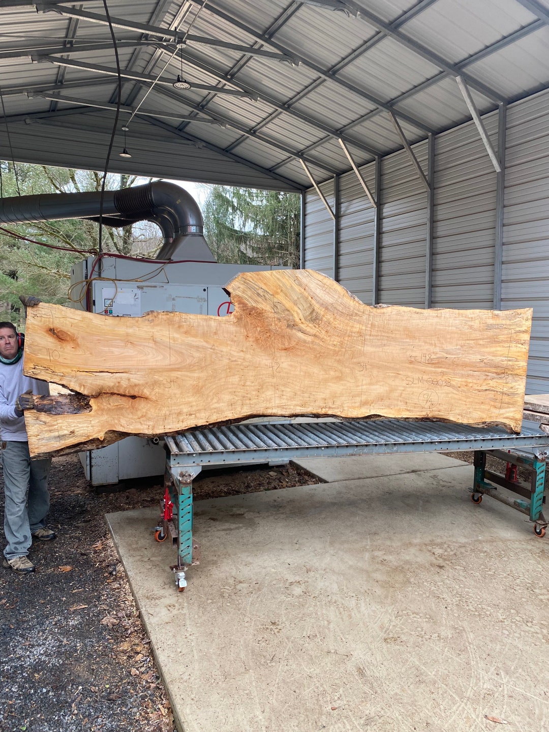 HUGE Maple Wood Slab - Etsy