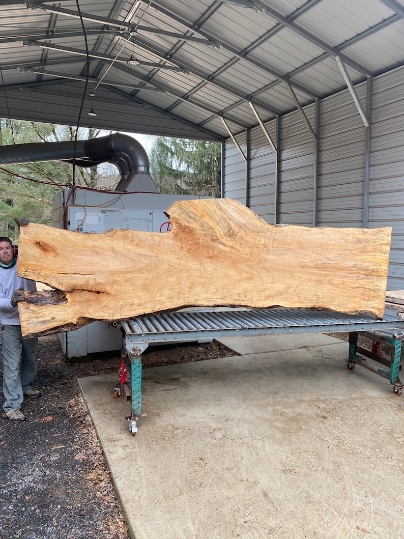 HUGE Maple Wood Slab - Etsy