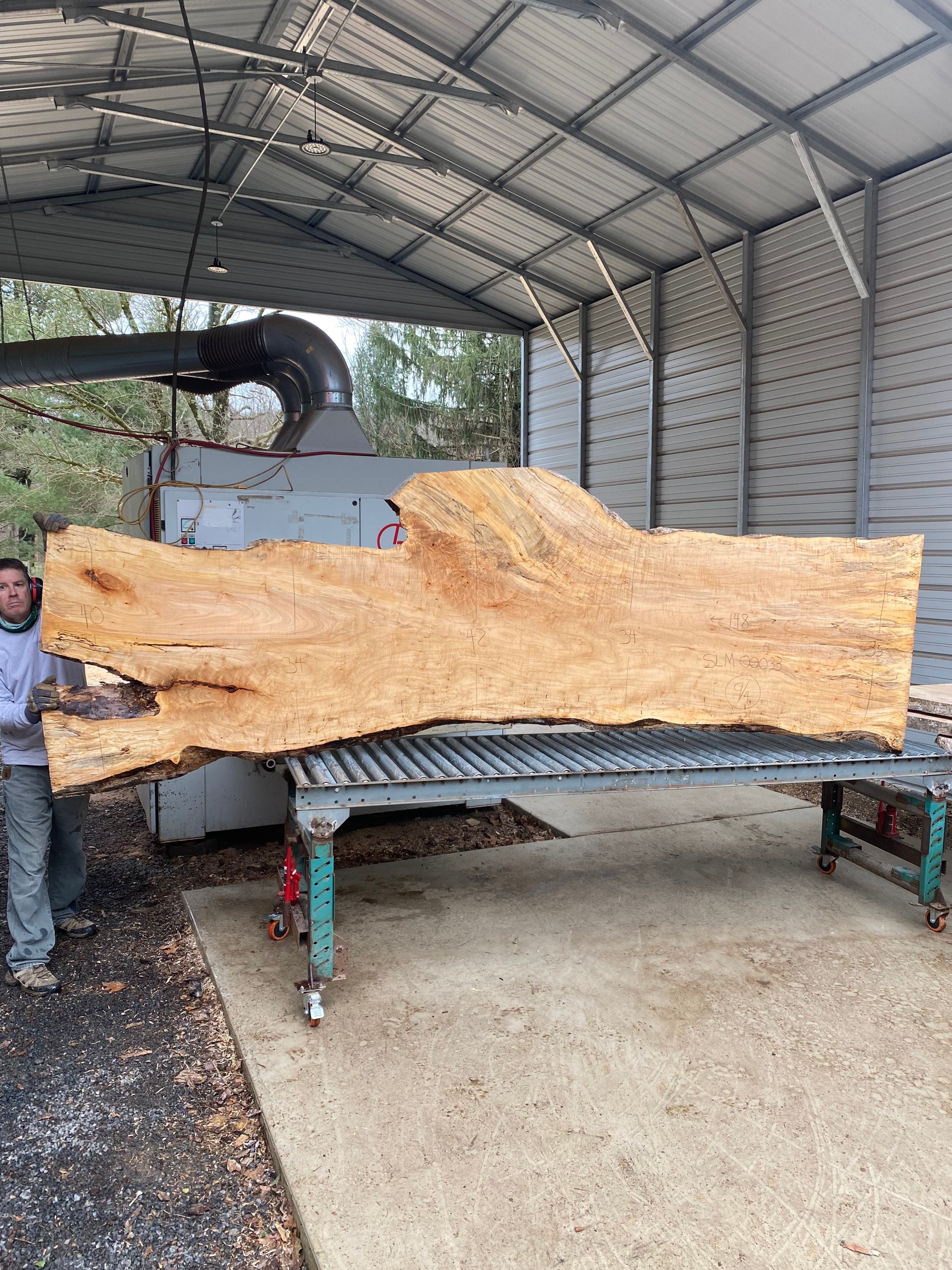 HUGE Maple Wood Slab - Etsy