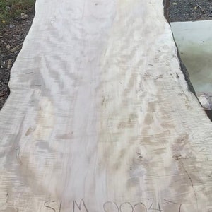12 Foot Silver Maple Wood Slab for Dining Table, Island. - Etsy