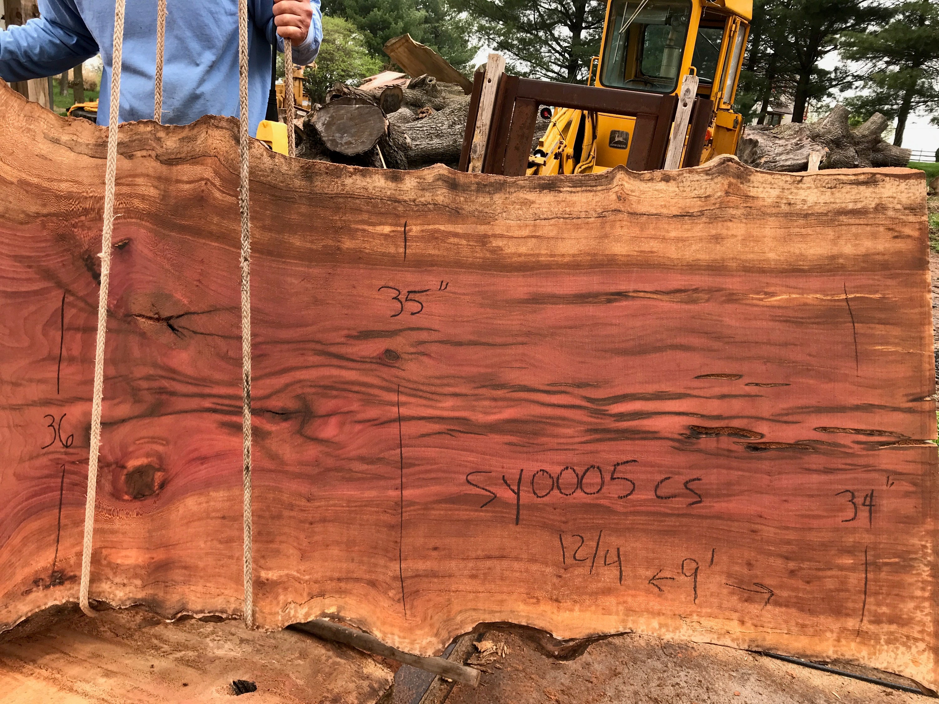 Sycamore Wood Slab Dining Table 9 Feet - Etsy