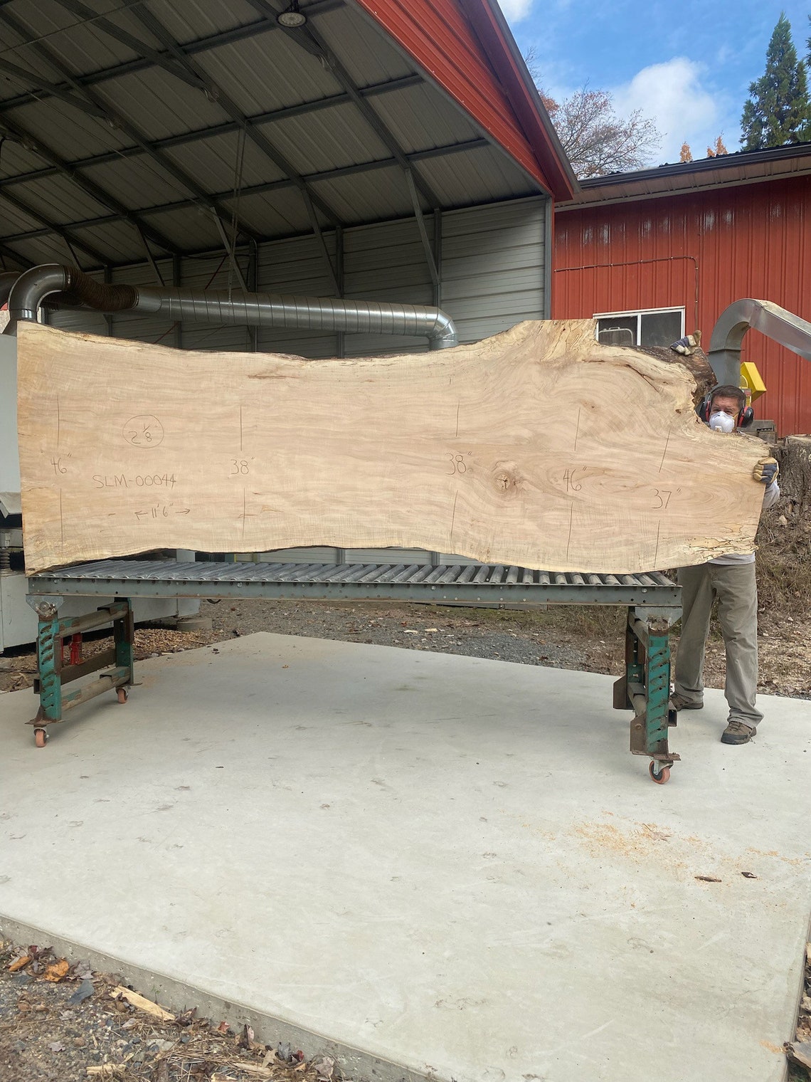 8.5 Foot Curly Silver Maple Dried Wood Slab - Etsy
