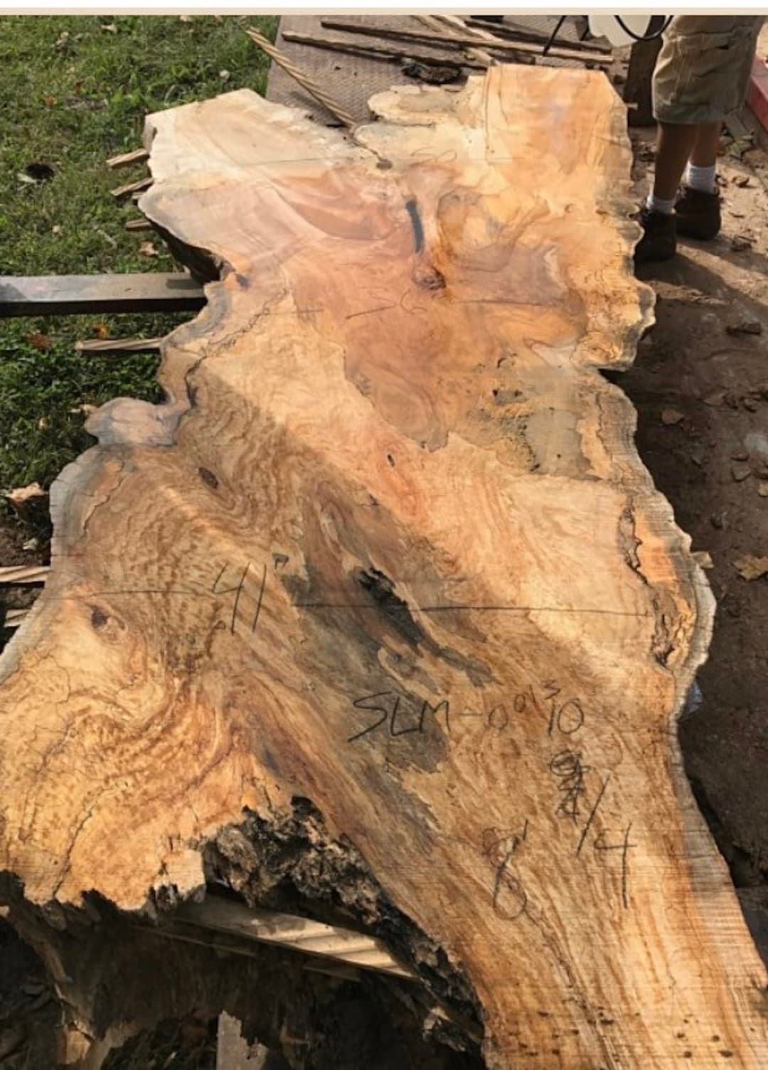8 Foot Spalted Silver Maple Wood Slab. Live Edge Wood Slab Table. Wood ...