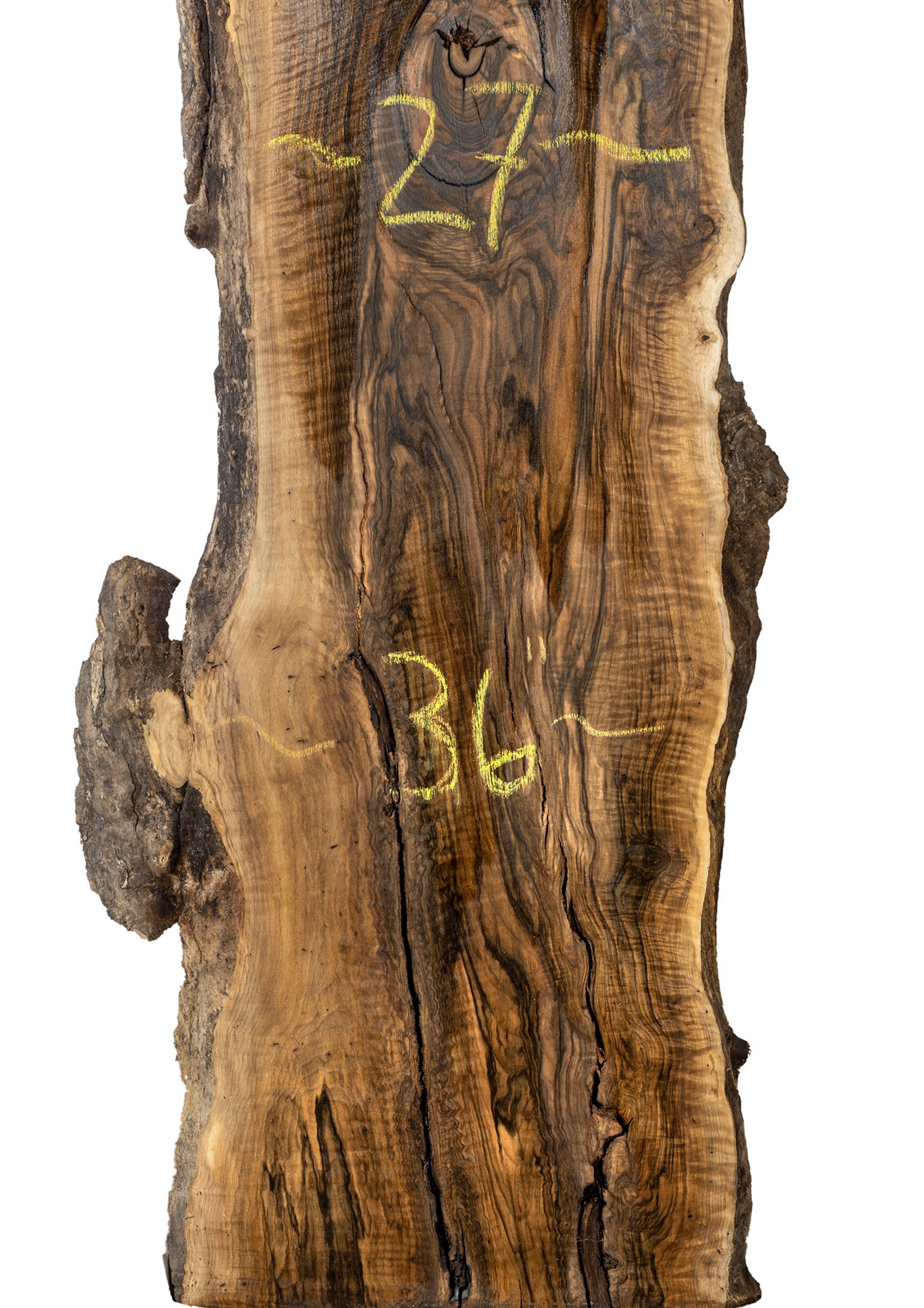 English Walnut Tree Slice. 12 Foot Walnut Bar Top Slab. 12 Foot Curly ...
