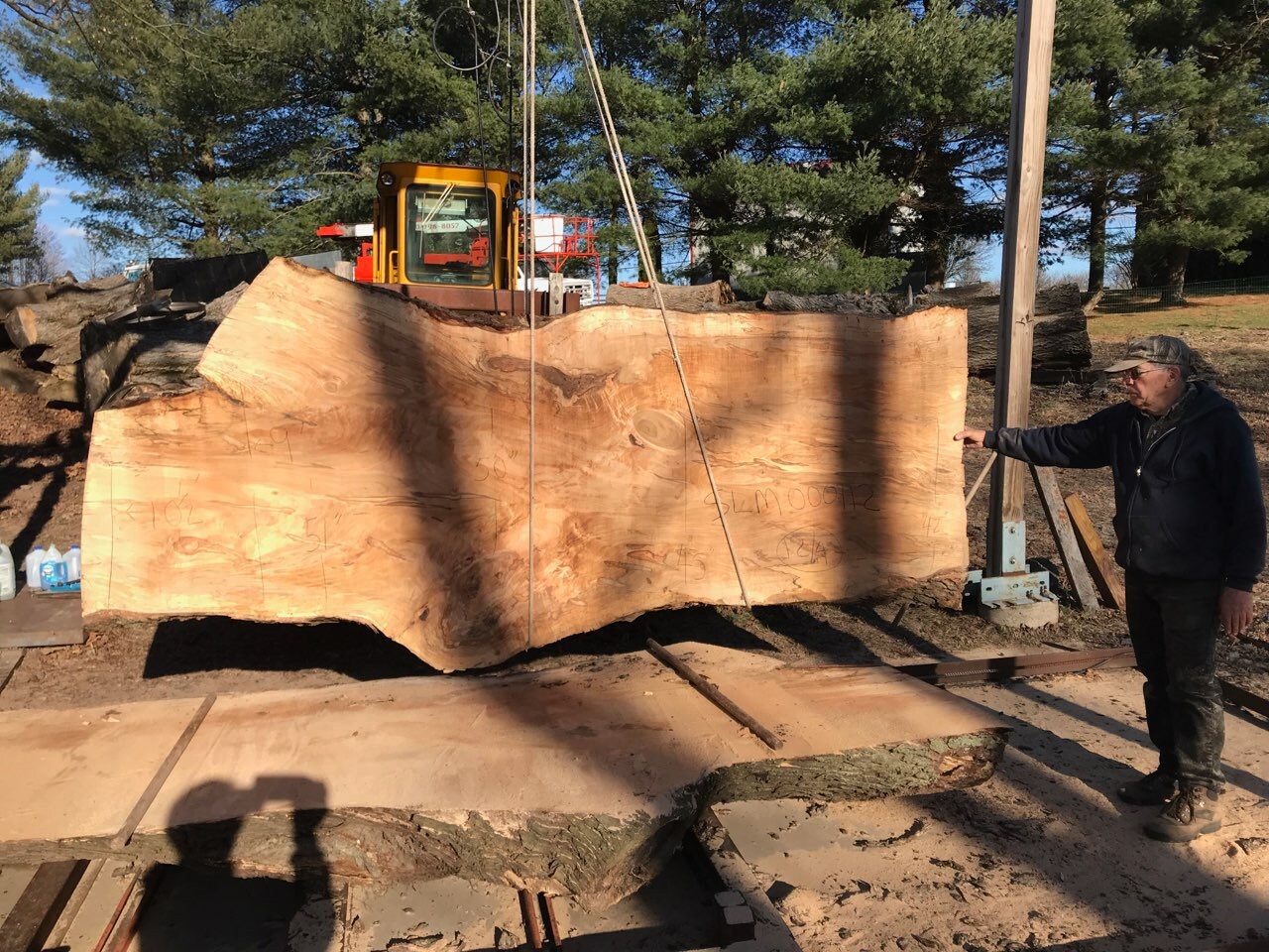 Silver Maple | Live Edge Wood | Reclaimed Wood Slabs | Kiln Dried Wood ...