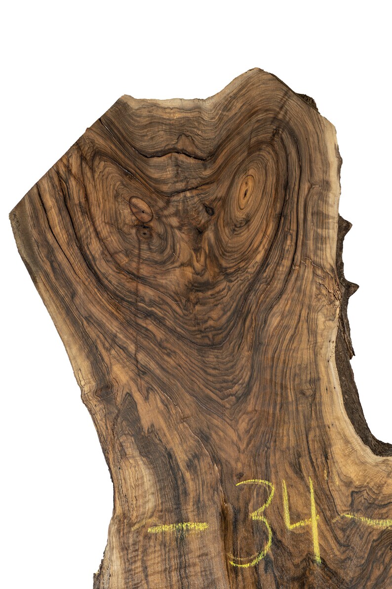 English Walnut Tree Slice. 12 Foot Walnut Bar Top Slab. 12 Foot Curly ...