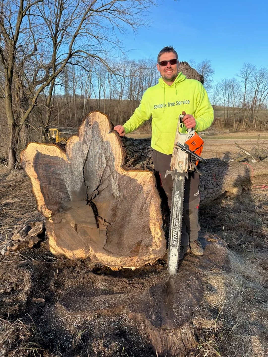 Giant Hardwood Slabs for Sale - Etsy