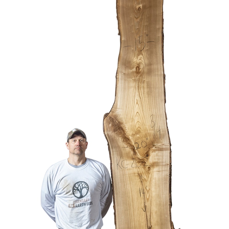 Tree Slab - Etsy