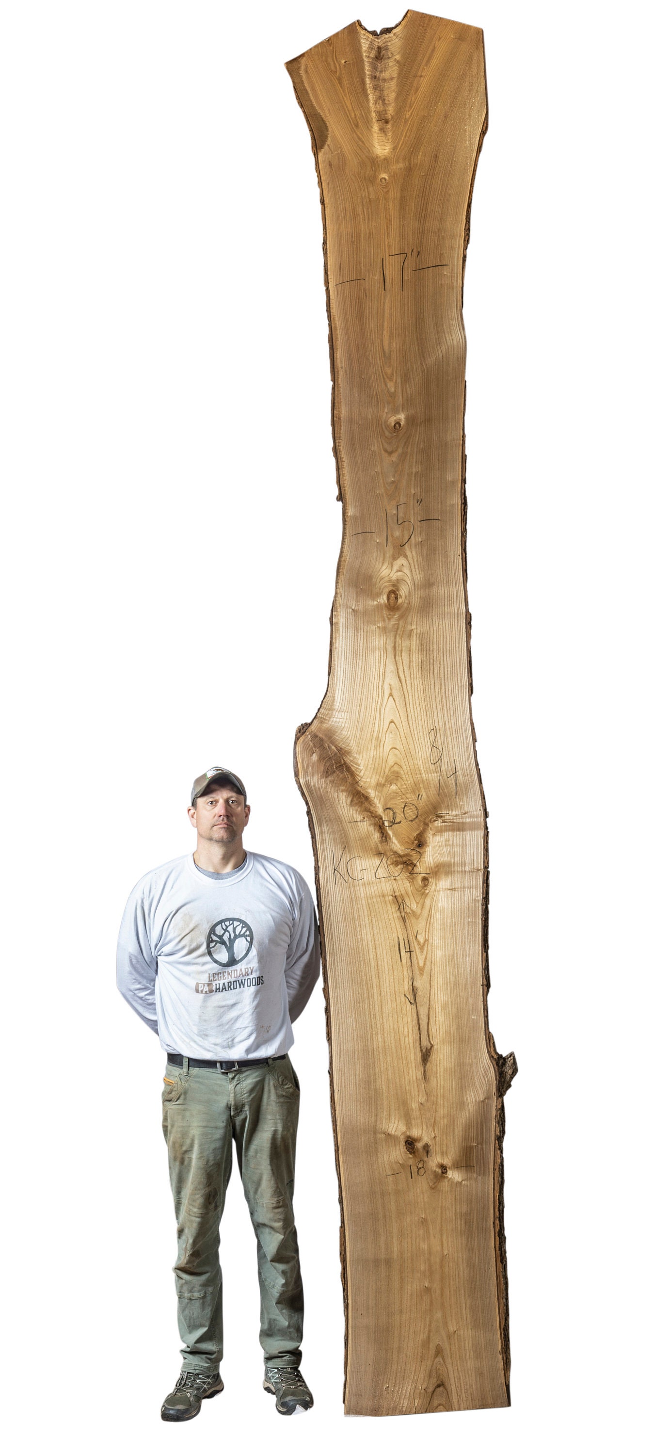 14 Foot Long Wood Slab for Sale. 14 Foot Long Kentucky Coffee Tree. 14 ...
