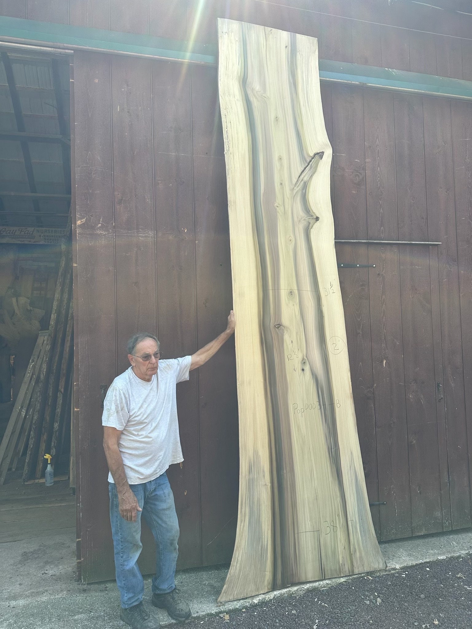 Rainbow Wood Tulip Poplar Slabs - Etsy