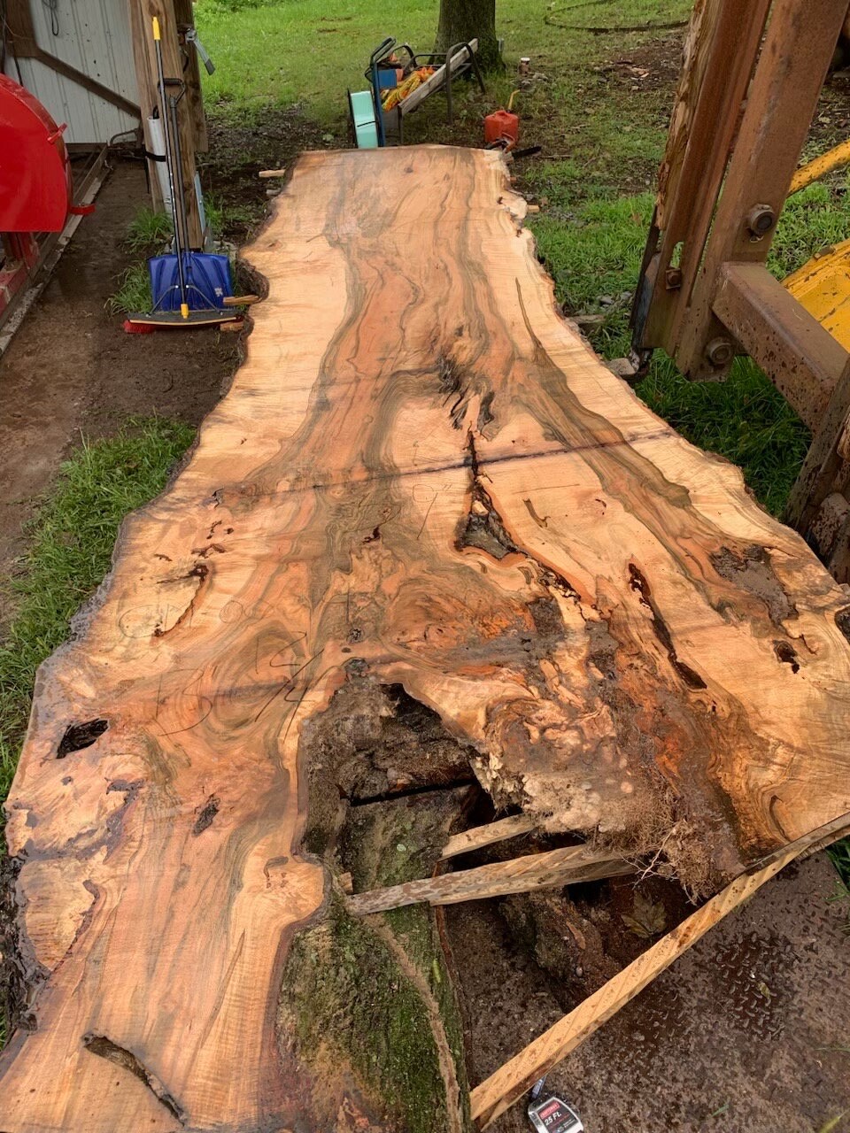 BIG Maple Wood Slab - Etsy