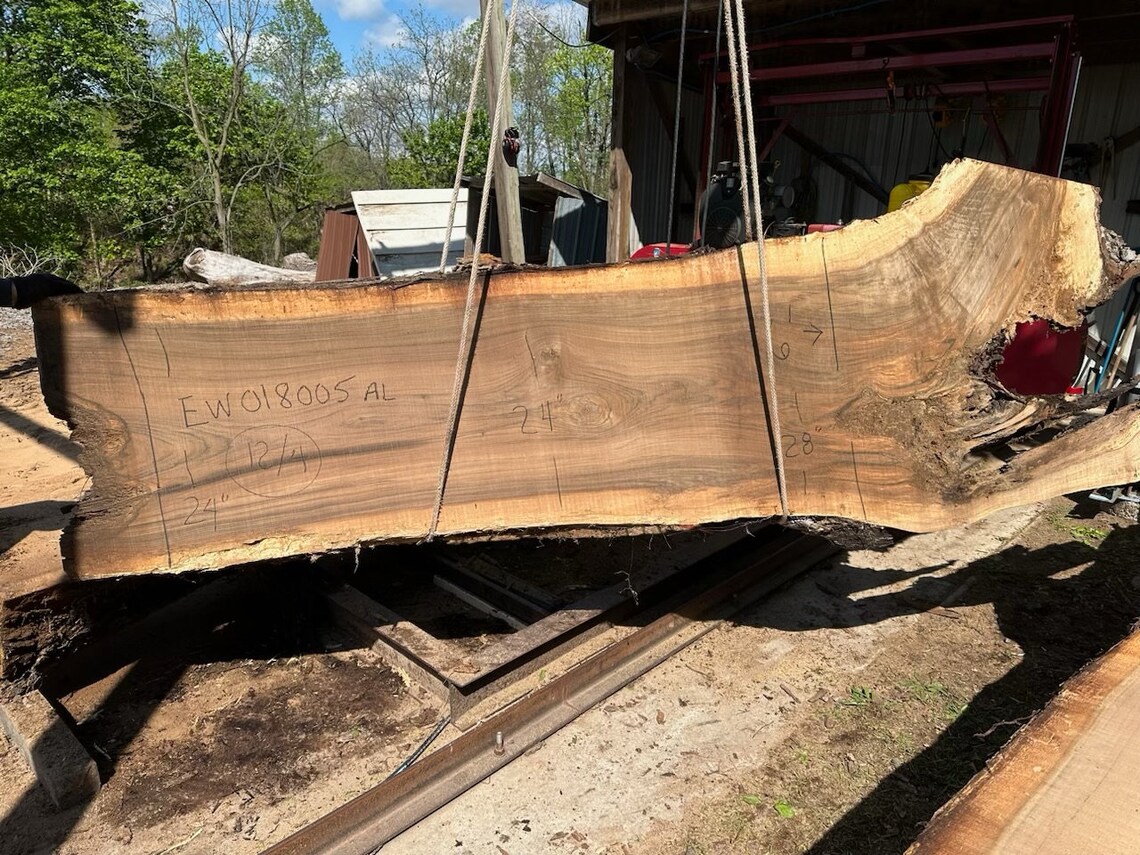 English Walnut Live Edge Wood Slabs - Etsy