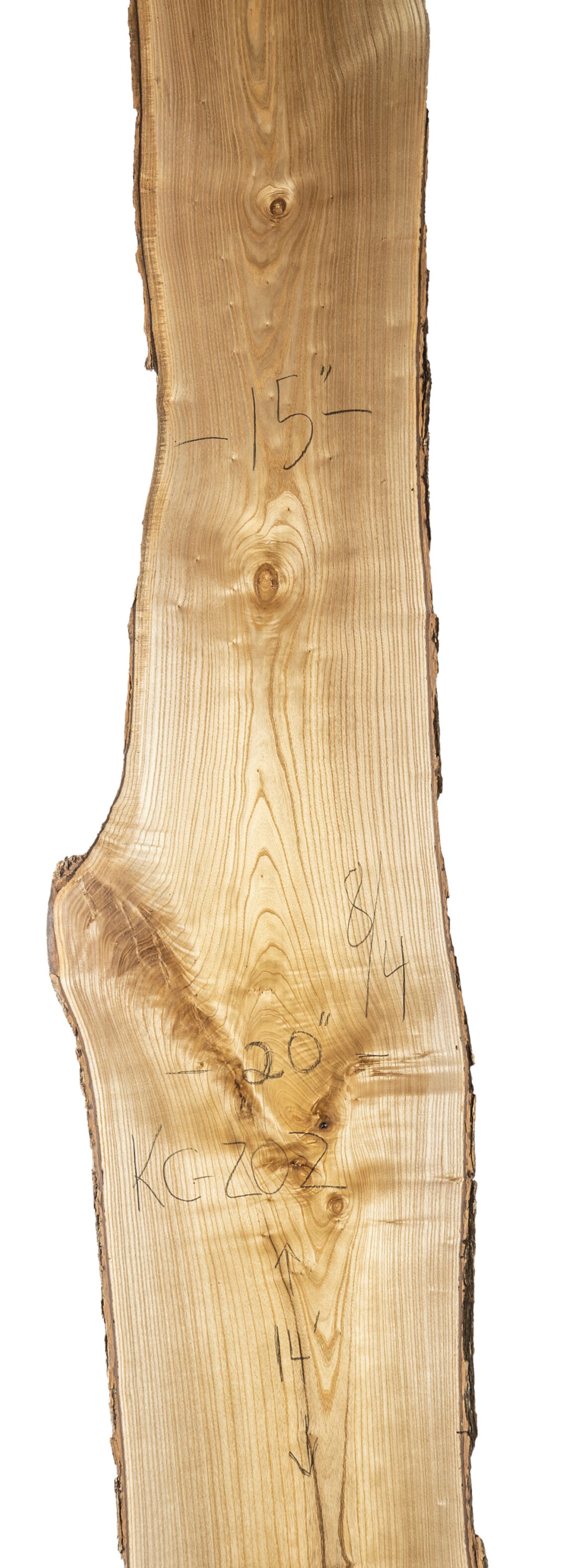 14 Foot Long Wood Slab for Sale. 14 Foot Long Kentucky Coffee Tree. 14 ...