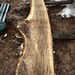 Red Maple Wood Slabs - Etsy