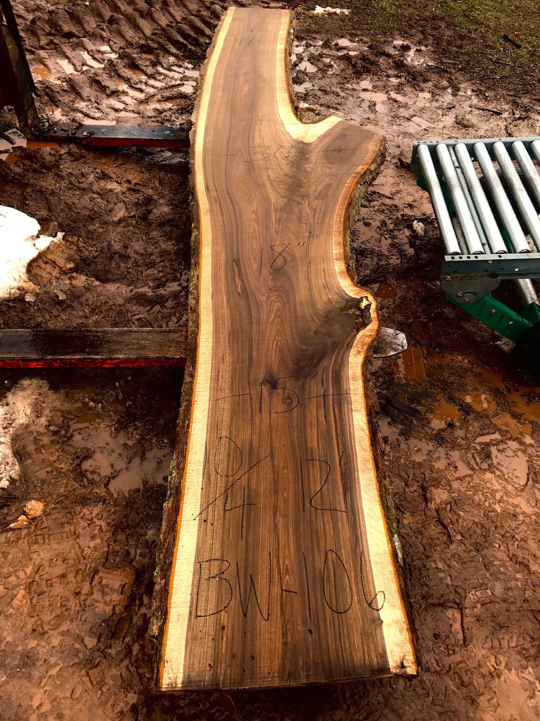 Twelve Foot Black Walnut Wood Slab. Black Walnut Wood Slab. - Etsy