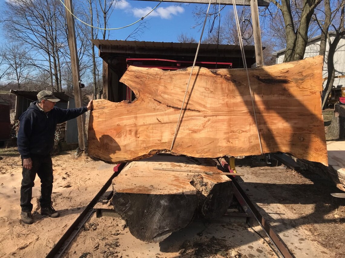 Silver Maple | Live Edge Wood | Reclaimed Wood Slabs | Kiln Dried Wood ...